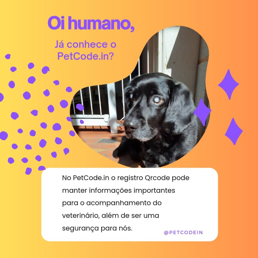 Oi humano, já conhece o petcode.in? - PetCode